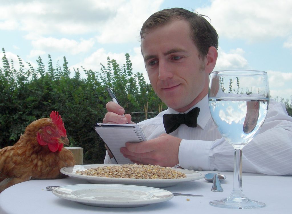 Britain's First Chicken Hotel Expands - Backyard Poultry